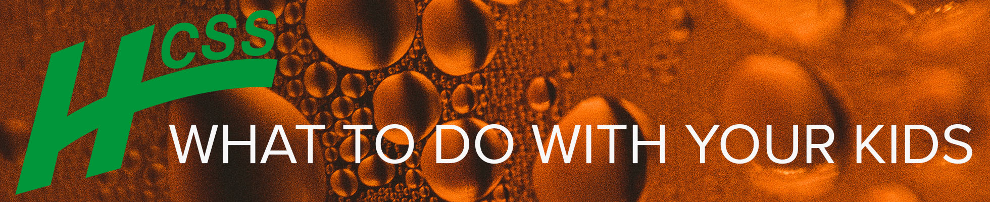 What to do with your kids | HCSS Success